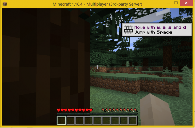 How to Set Up a Minecraft Server on a Raspberry Pi | PiCockpit