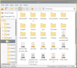 How to create new files as root user from the Raspberry Pi OS Desktop ...